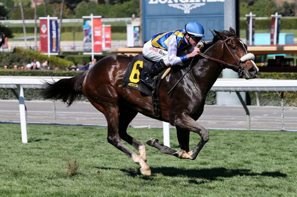 PATIENCE PAYING OFF | Bonne Chance