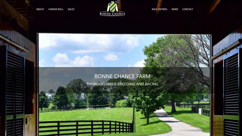 BONNE CHANCE LAUNCHES WEBSITE | Bonne Chance